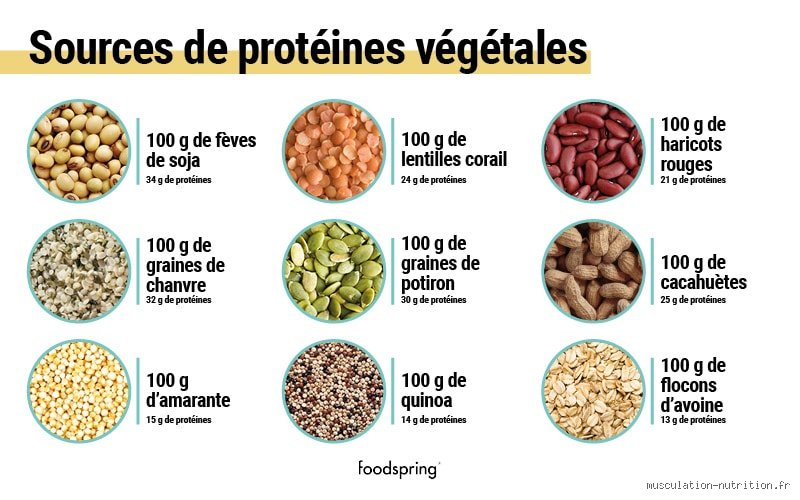 Quel aliment est surnommé la protéine du pauvre et pourquoi bouscule-t ...