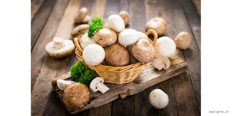 Quels sont les bienfaits de manger des champignons crus