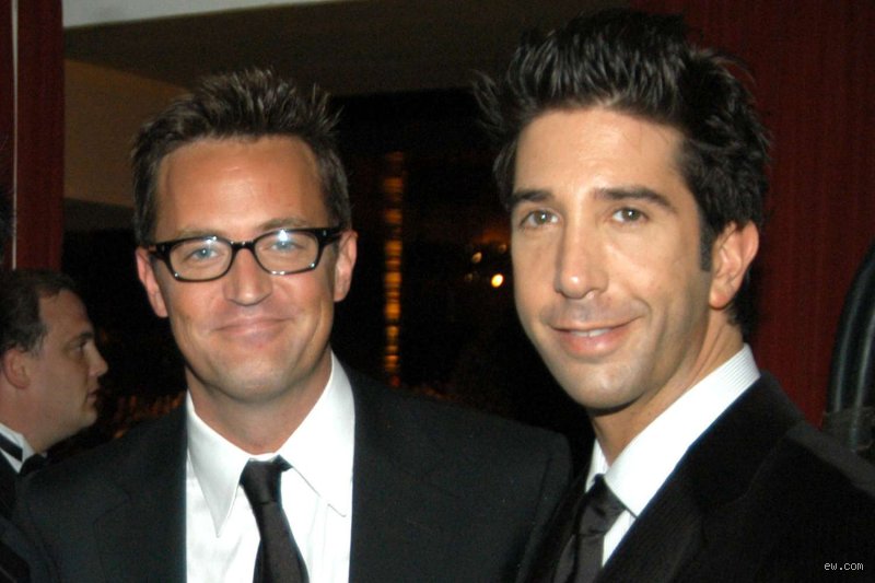 Did David Schwimmer get along with Matthew Perry? La vérité derrière l ...