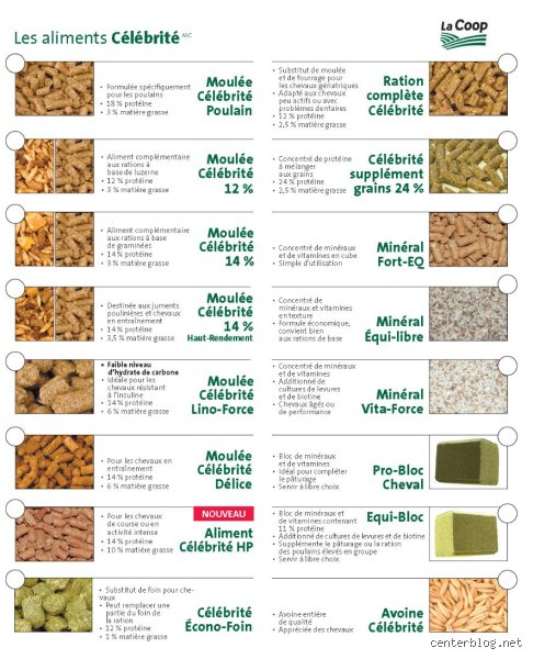 Quel est l'aliment préféré des chevaux