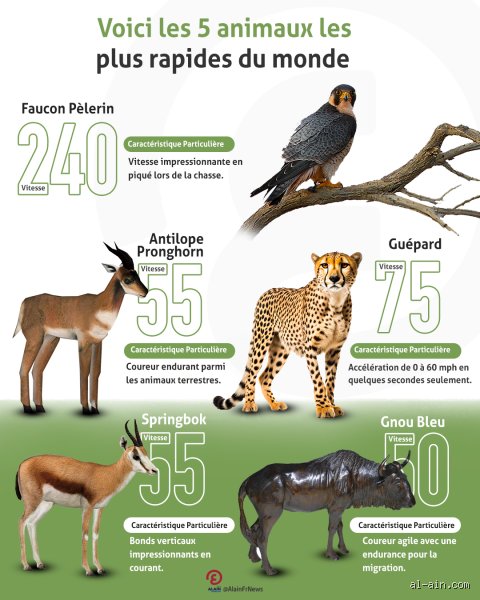 Quel est l'animal le plus hypocrite