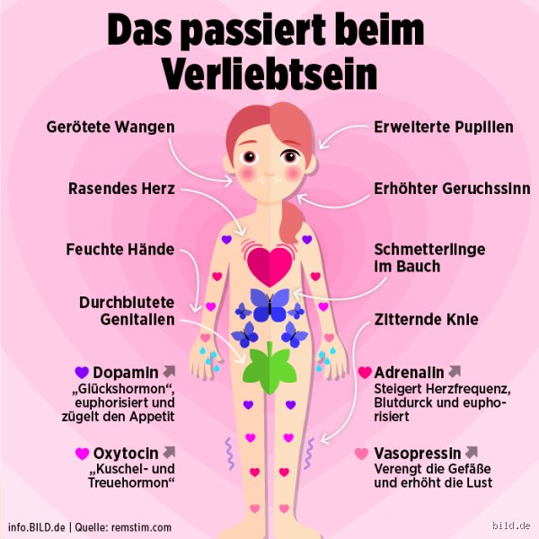 Krankhaft verliebt? Wenn Liebe zur Obsession wird!