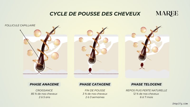 Est-ce que les cheveux blancs poussent plus vite