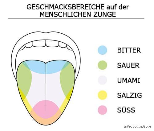 Was ist die Mehrzahl von der Mund?