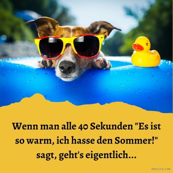 Affenhitze Lustige Bilder