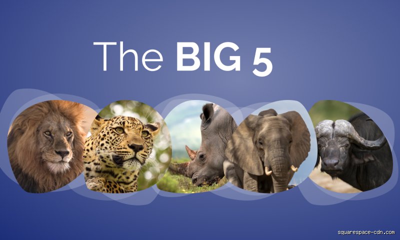 Quels sont les Big Five