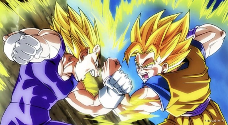 Qui est Vegeta par rapport à Goku