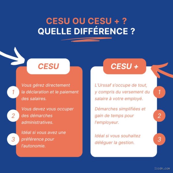 CESU ou CESU Plus : comment s'y retrouver pour ne pas se noyer dans la ...
