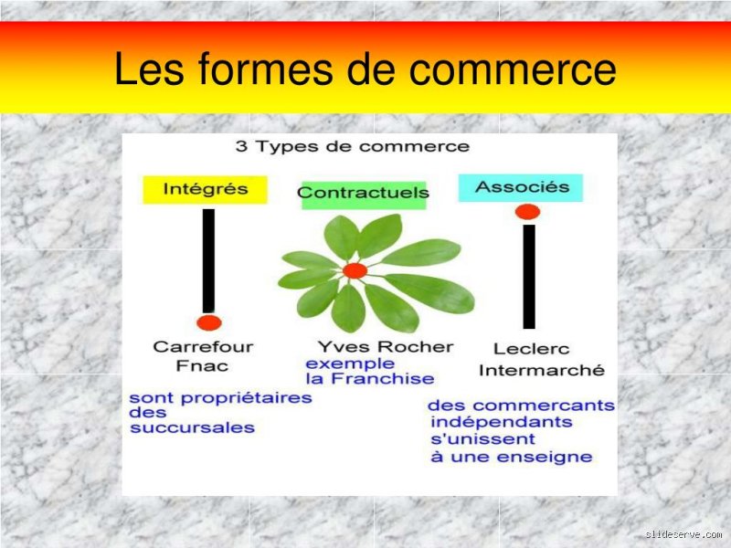 Quelle est la définition de commerce