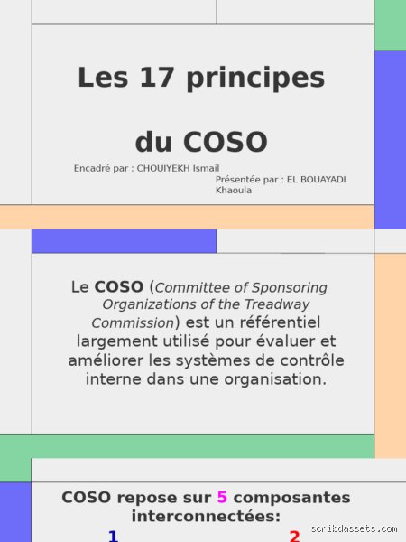 Quels sont les principes du COSO