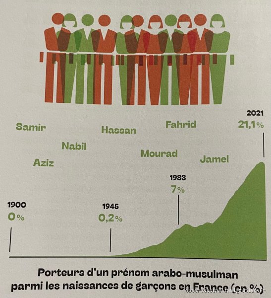 Où il y a le plus d'arabes en France