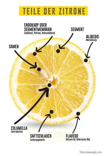 Für welches Organ ist Zitrone gut? Die wissenschaftlichen Fakten