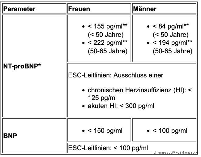Was bedeutet NT-proBNP im Blut wirklich? Ein Blick hinter die Zahlen