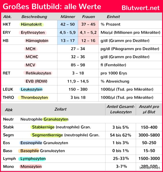 Wie oft sollte man seine Blutwerte untersuchen lassen?
