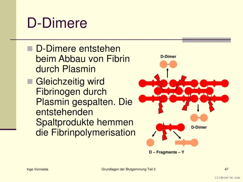 Wie schnell sinken D-Dimere?