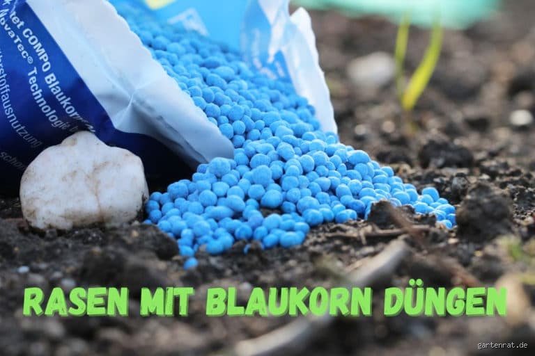 Blaukorn Dunger Zusammensetzung