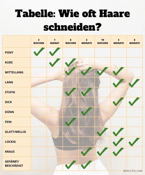 Feuerstattenschau Wie Oft