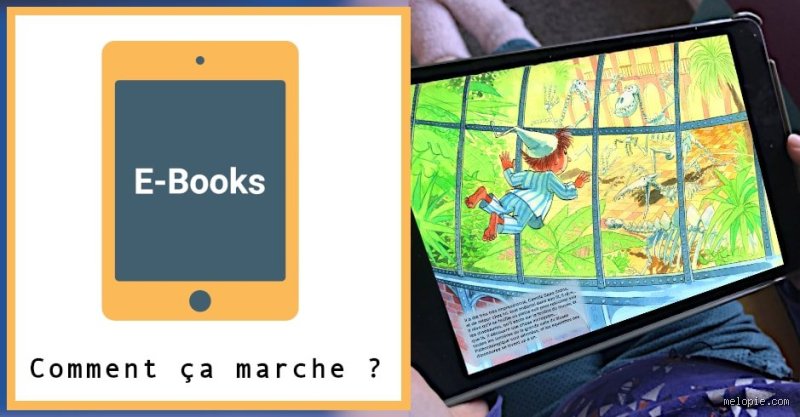 Comment ça marche le livre numérique