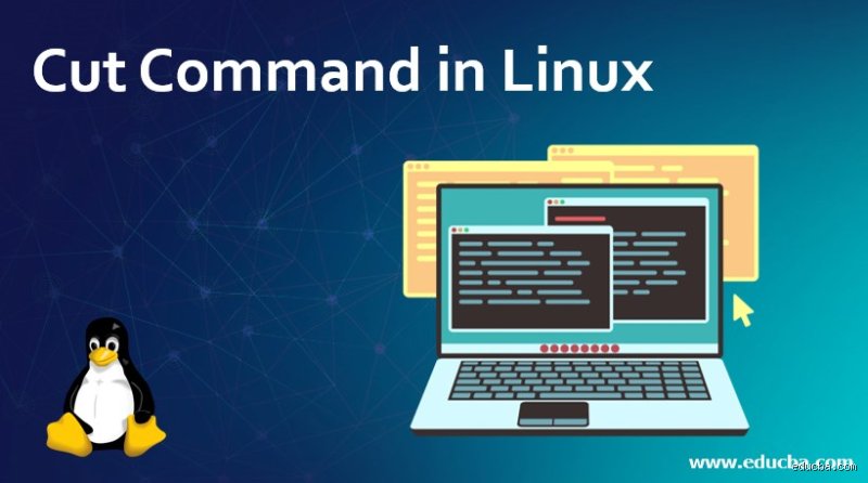 Comment Cut Linux ? Le Guide Honnête pour Extraire Vos Données en Deux Secondes