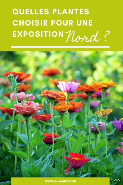 Pourquoi Exposition Nord