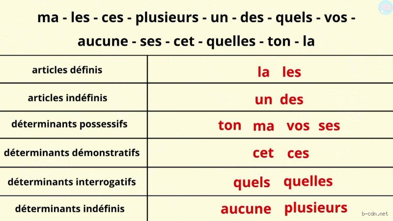 Où se place le déterminant en français