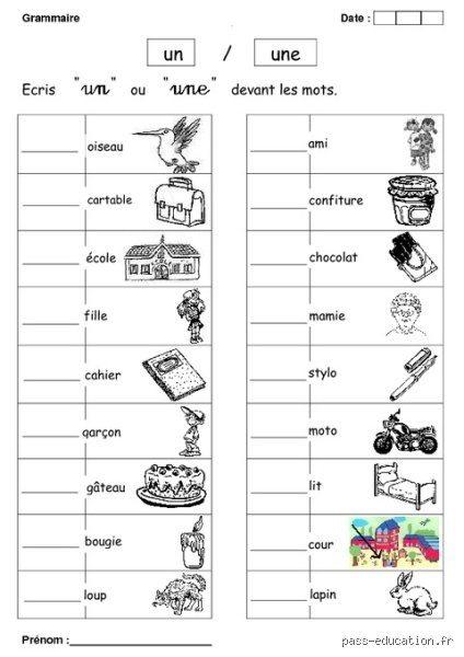 Quand dire "une" ou "un" : le guide pour maîtriser l'accord des ...
