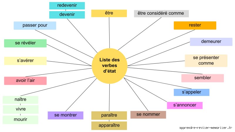 Quelles sont les verbes d'état ? Guide complet de la syntaxe attributive