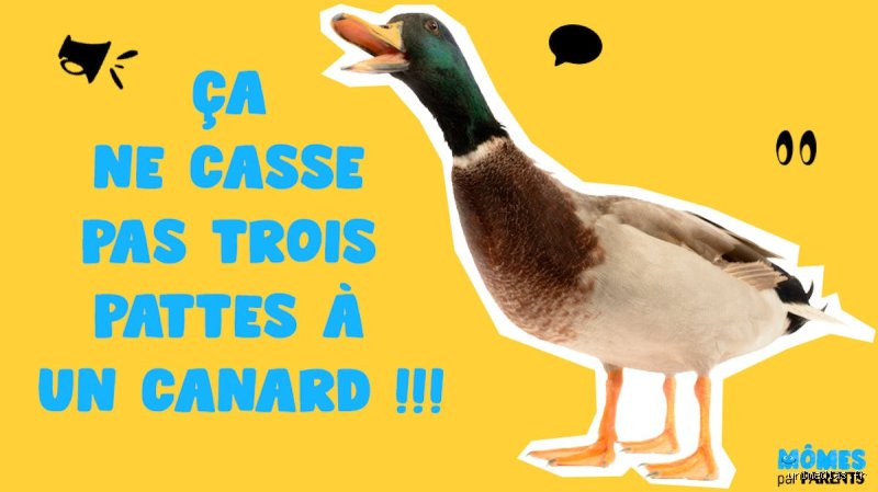 Quelles sont les expressions françaises les plus drôles ? Le guide ...