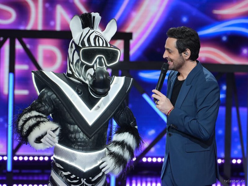 Qui se cachait derrière le Zèbre dans Mask Singer