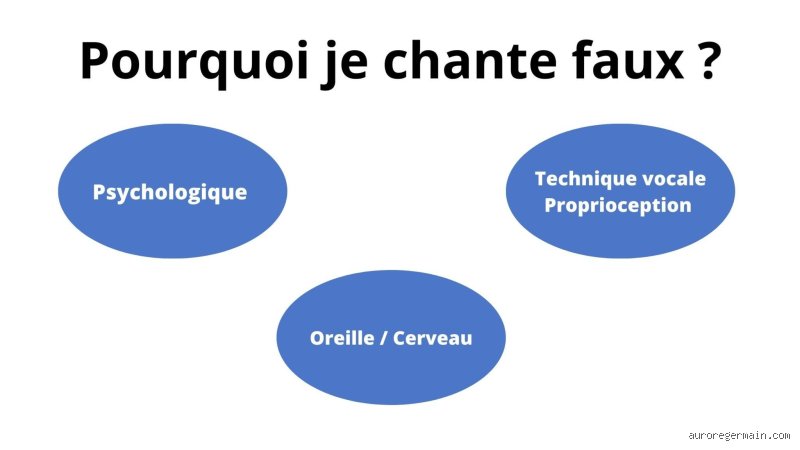 Comment appelle-t-on quelqu'un qui chante faux