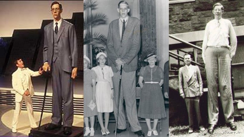 Qui est le plus long taille du monde