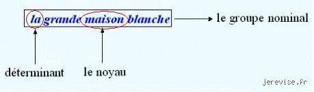 Comprendre le nom noyau d'une phrase : qu'est-ce que c'est vraiment