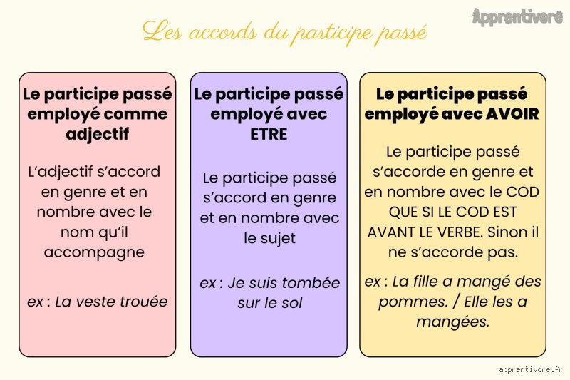 Quels sont les types de participe passé