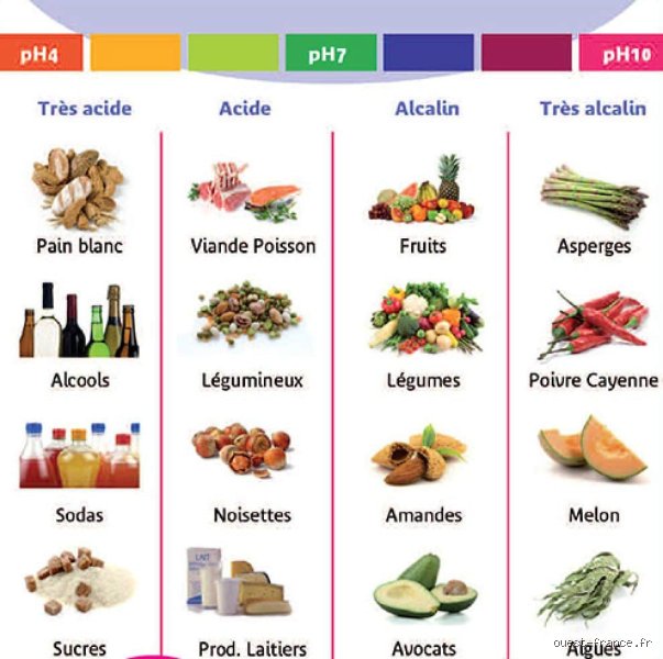 Quels aliments ne peuvent pas manger les juifs