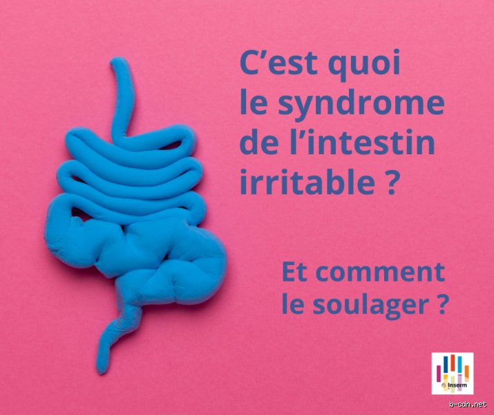 Un intestin enflammé peut-il guérir ? Ce que la science nous cache sur ...