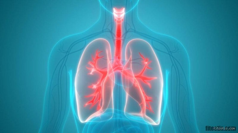 Comment décrasser les poumons