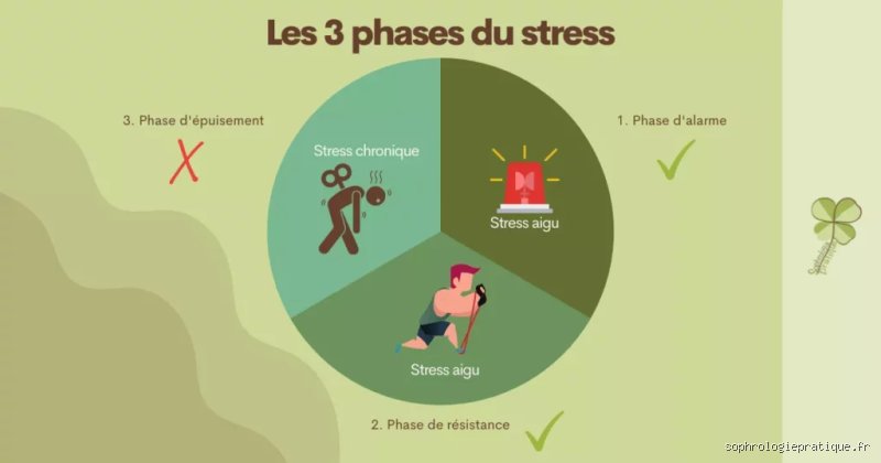 Quelles sont les trois phases du stress
