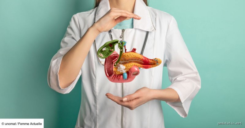 Les premiers signes d'un dysfonctionnement du pancréas : comment les ...