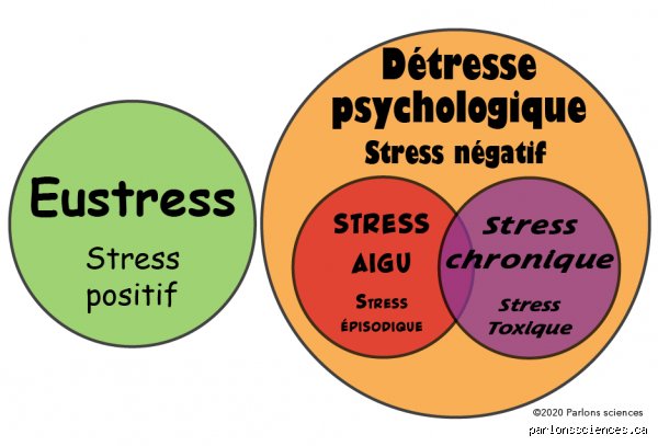 Les Différents Types de Stress : Comprendre pour Mieux Gérer