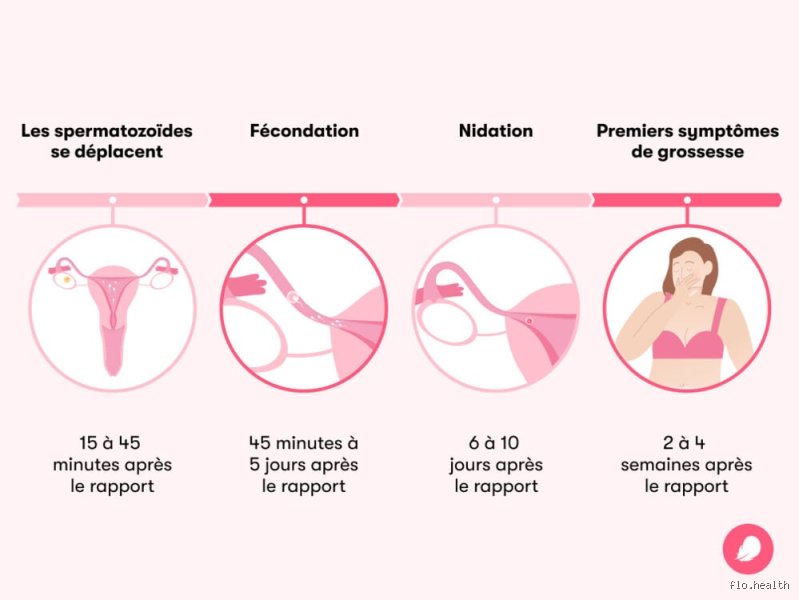 Est-ce qu'une femme peut tomber enceinte pour deux hommes en même temps