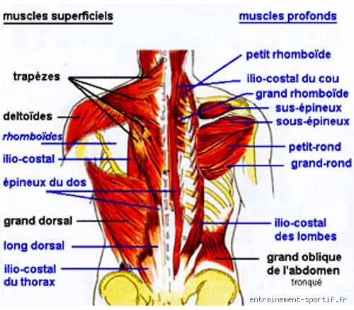 Est-ce que le foot muscle le dos